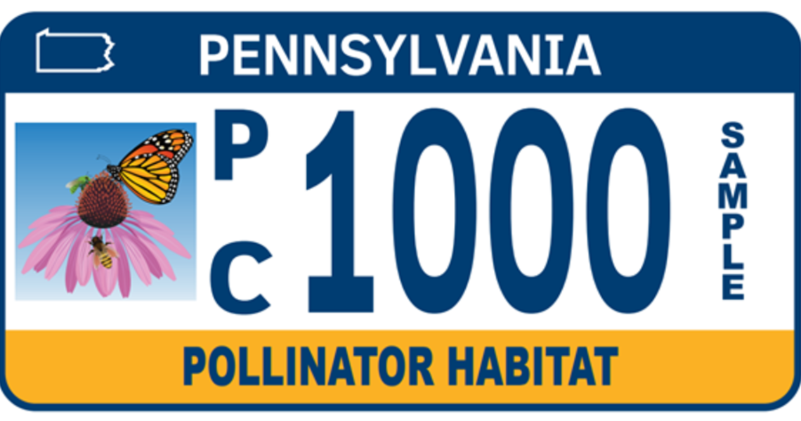 PA Launches Pollinator License Plate Program To Help Revive Endangered ...