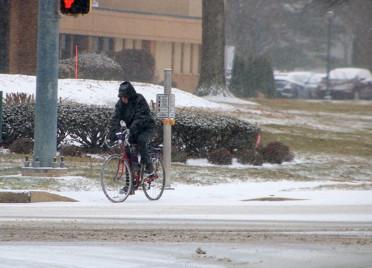 Newtown Area To See Light Snow - NewtownPANow.com